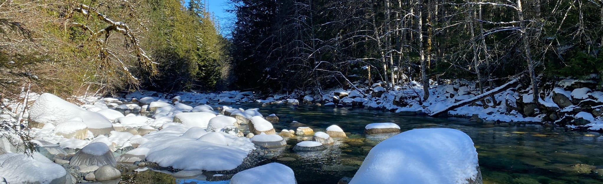 Englishman River Trail and Jughead Loop, British Columbia, Canada - 38 ...