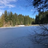 Colliery Dam Loop, British Columbia, Canada - 314 Reviews, Map | AllTrails