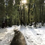 Colliery Dam Loop, British Columbia, Canada - 314 Reviews, Map | AllTrails