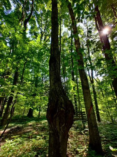 Best Hikes and Trails in Coy Mountain Preserve | AllTrails