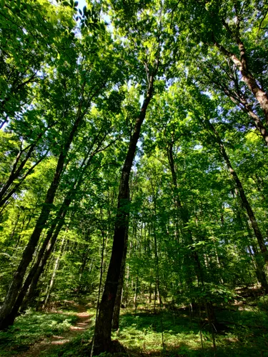 Best Hikes and Trails in Coy Mountain Preserve | AllTrails