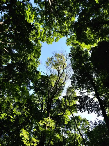 Best Hikes and Trails in Coy Mountain Preserve | AllTrails