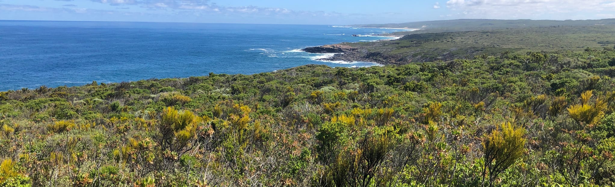 Cape to Cape Track: Prevelly - Boranup, Western Australia, Australia ...