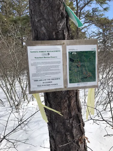 Best Hikes and Trails in Waterboro Barrens Preserve | AllTrails