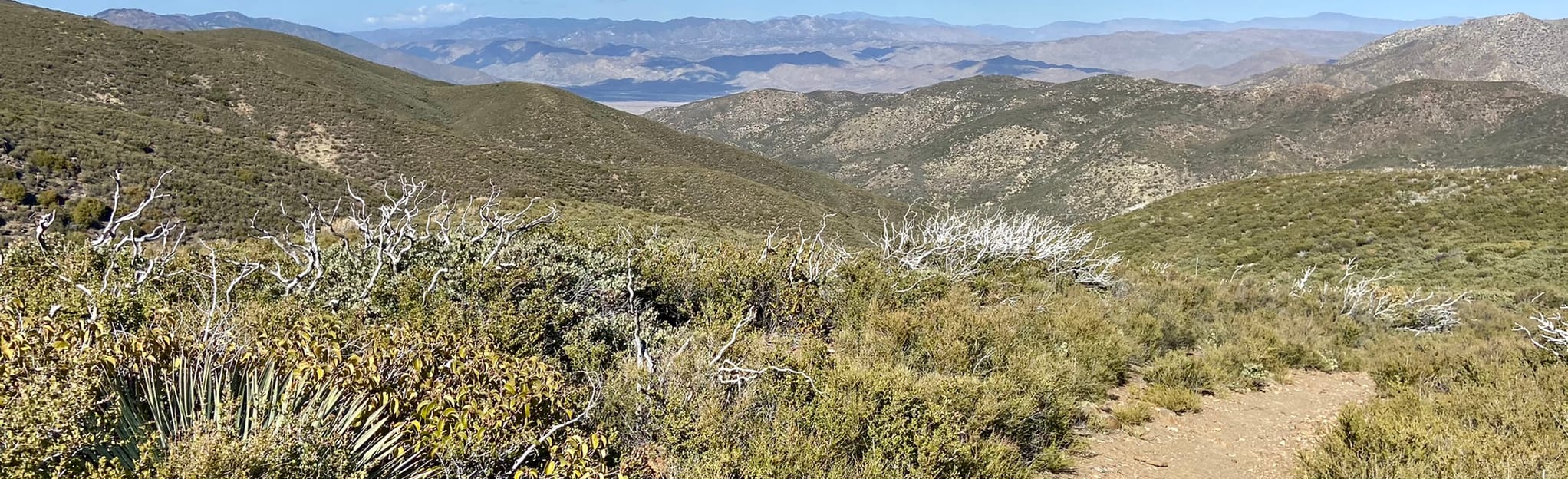 Mason Valley via Sunrise Highway: 65 Reviews, Map - California | AllTrails