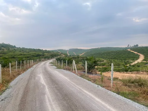 Best Forest Trails in Bandar Bera | AllTrails