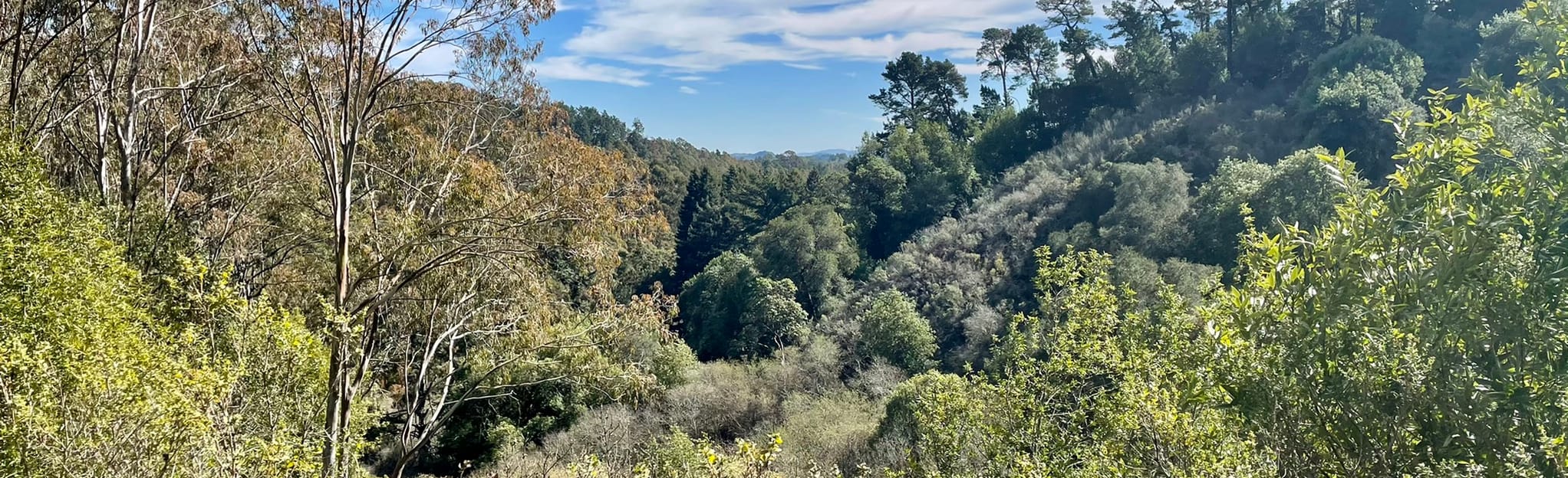 French Trail, Star Flower Trail, and Stream Trail Loop: 817 Reviews ...