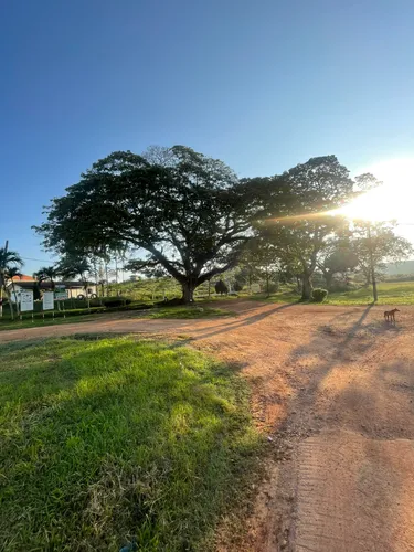 Best Forest Trails in Bandar Bera | AllTrails