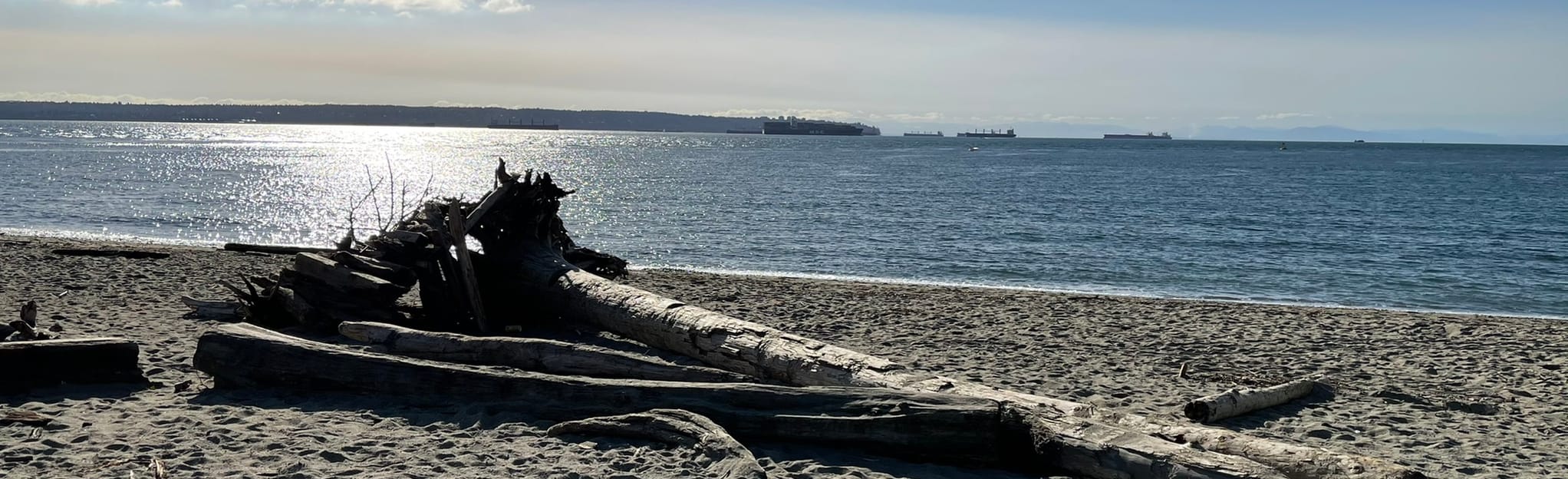 Ambleside Park Loop: 67 Reviews, Map - British Columbia, Canada | AllTrails