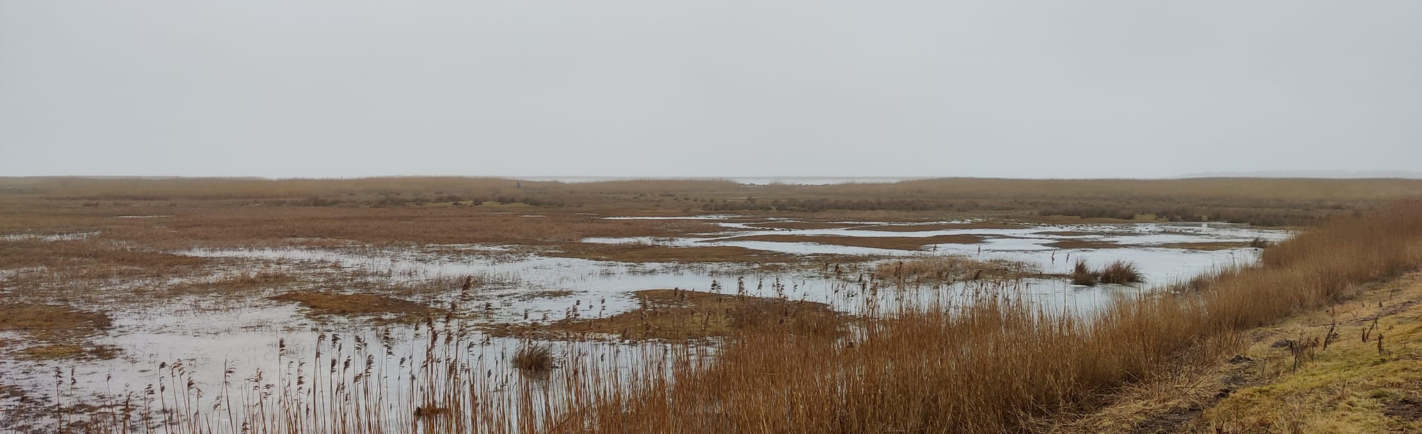 Skjern River Delta - Styg Creek, Central Denmark, Denmark - 7 Reviews ...