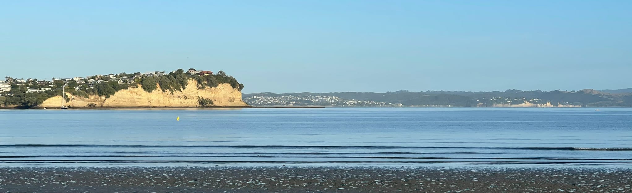 Big Manly Beach Walk, Auckland, New Zealand - 24 Reviews, Map | AllTrails