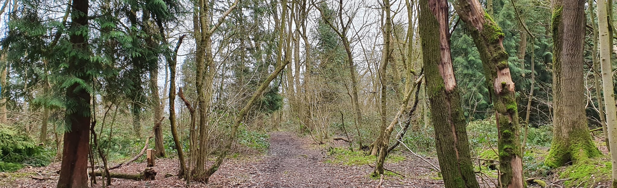 ACW Circular Walk 07: Bubbenhall and Cubbington Circular: 6 Reviews ...