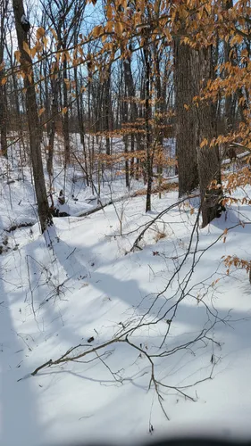 Best Hikes and Trails in Clark State Forest | AllTrails