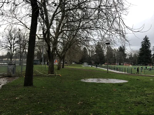 Best Hikes and Trails in Lents Park | AllTrails