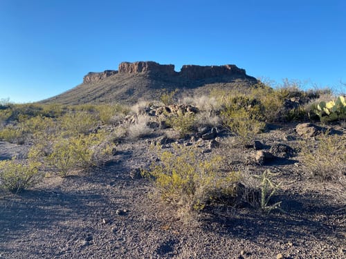2023 Best Mountain Biking Trails in Big Bend Ranch State Park | AllTrails