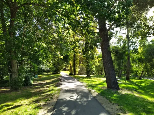 10 Best Trails and Hikes in Bright | AllTrails