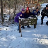 Batona Trail, New Jersey - 322 Reviews, Map | AllTrails