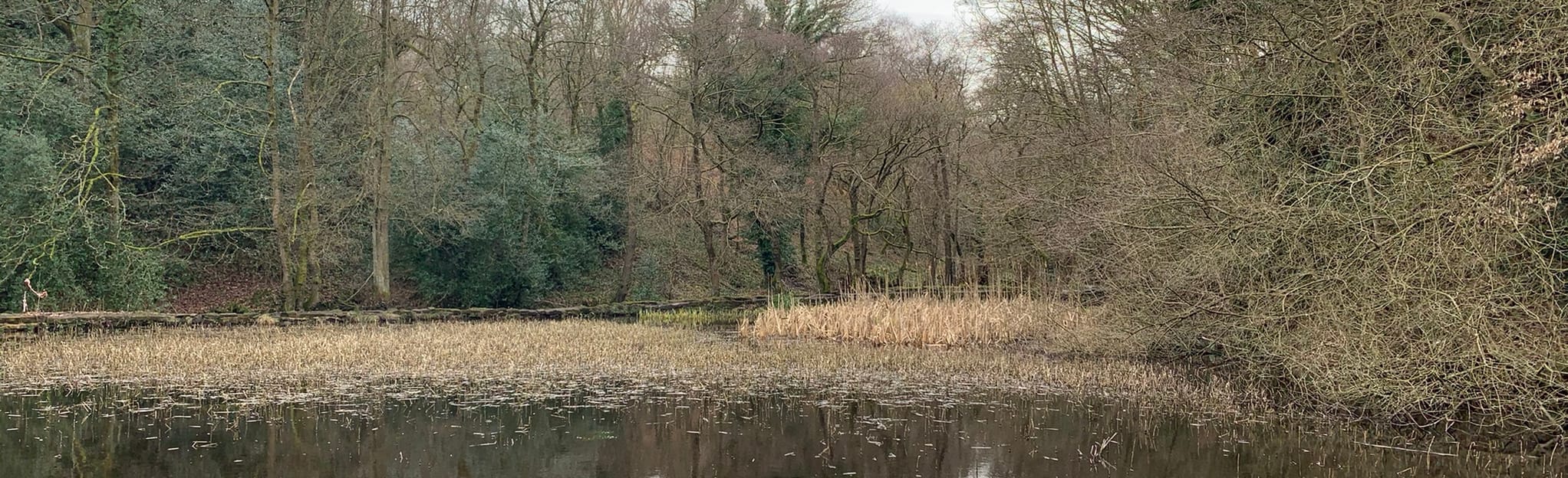 Rivelin Corn Mill Dam to Walkley Bank Tilt via River Rivelin, South ...