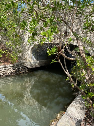 Best Hikes and Trails in Chapman Field Park | AllTrails