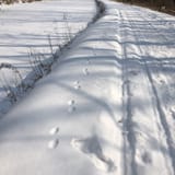 Ohio and Erie Canal Towpath: Canal Fulton to Massillon, Ohio - 287 ...