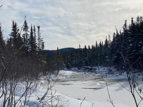 2023 Best River Trails in Glenburnie-Birchy Head-Shoal Brook | AllTrails