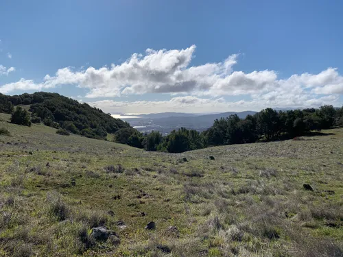 Best Hikes and Trails in Mount Burdell Open Space Preserve | AllTrails