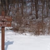 Donut Hole Trail via Long Fork Trail, Pennsylvania - 19 Reviews, Map ...
