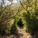 Outer Mountain Loop, Texas - 94 Reviews, Map | AllTrails