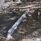 Outer Mountain Loop, Texas - 94 Reviews, Map | AllTrails