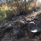 Outer Mountain Loop, Texas - 94 Reviews, Map | AllTrails