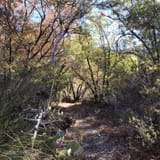 Outer Mountain Loop, Texas - 94 Reviews, Map | AllTrails