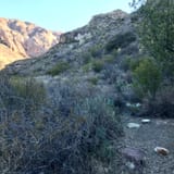 Outer Mountain Loop, Texas - 94 Reviews, Map | AllTrails