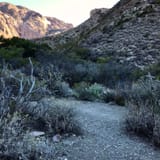 Outer Mountain Loop, Texas - 94 Reviews, Map | AllTrails