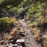 Outer Mountain Loop, Texas - 94 Reviews, Map | AllTrails