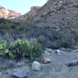 Outer Mountain Loop, Texas - 94 Reviews, Map | AllTrails