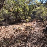 Outer Mountain Loop, Texas - 94 Reviews, Map | AllTrails