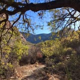 Outer Mountain Loop, Texas - 94 Reviews, Map | AllTrails