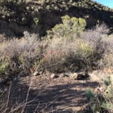 Outer Mountain Loop, Texas - 94 Reviews, Map | AllTrails