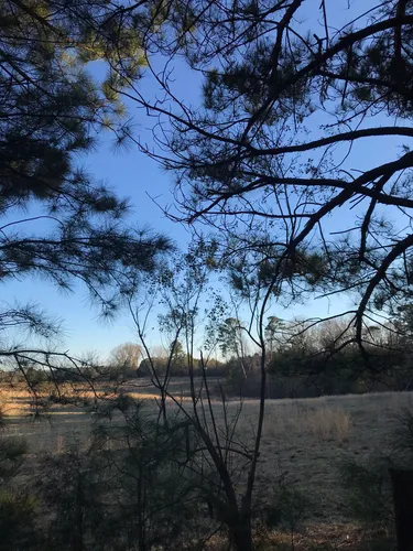 Best Hikes and Trails in Carl Alwin Schenck Memorial Forest | AllTrails