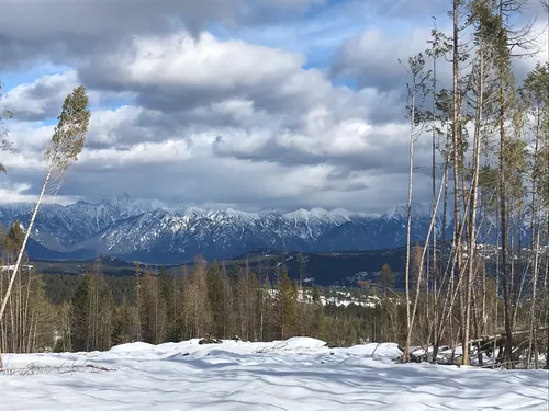 2023 Best Easy Trails in Cranbrook Community Forest Recreation Site ...