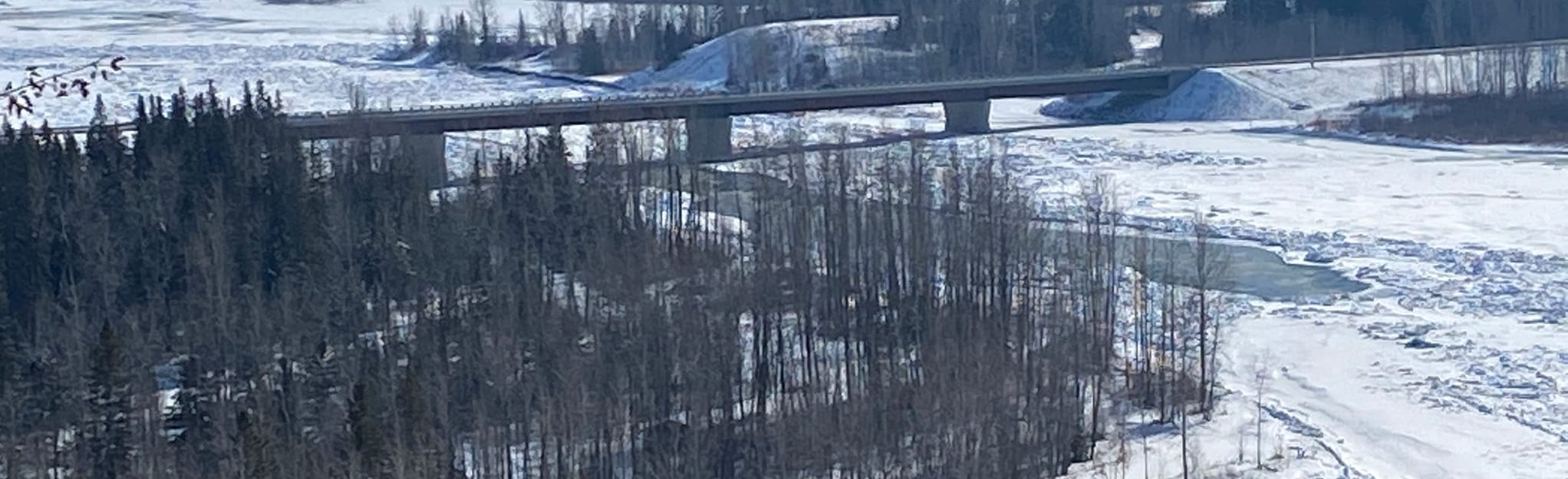 Trail B Loop: 21 Reviews, Map - Alberta, Canada | AllTrails