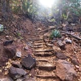 Outer Mountain Loop, Texas - 94 Reviews, Map | AllTrails
