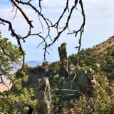 Outer Mountain Loop, Texas - 94 Reviews, Map | AllTrails