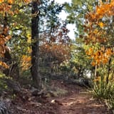 Outer Mountain Loop, Texas - 94 Reviews, Map | AllTrails