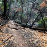 Outer Mountain Loop, Texas - 94 Reviews, Map | AllTrails