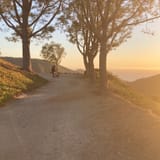 Aliso Summit Trail, California - 335 Reviews, Map | AllTrails
