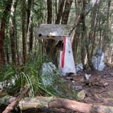 Arm River Track to New Pelion Hut, Tasmania, Australia - 68 Reviews ...