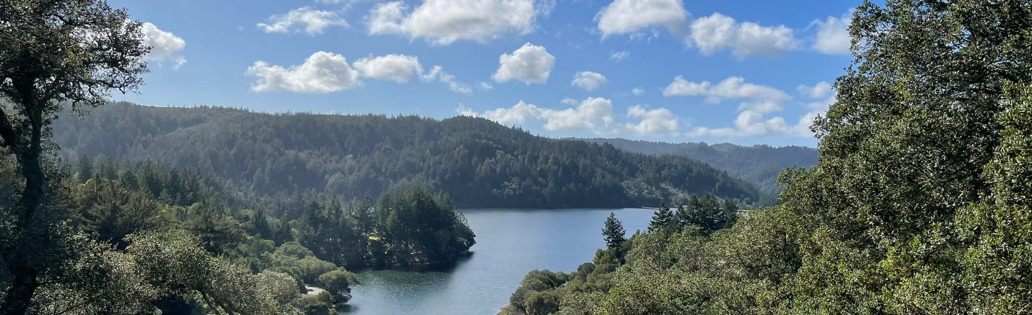 Pumpkin Ridge Trail, California - 19 Reviews, Map | AllTrails