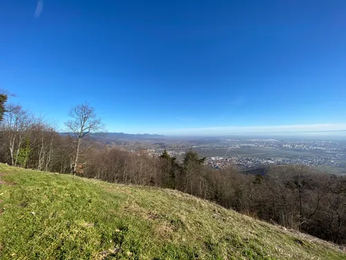 10 Best Trails and Hikes in Colmar | AllTrails