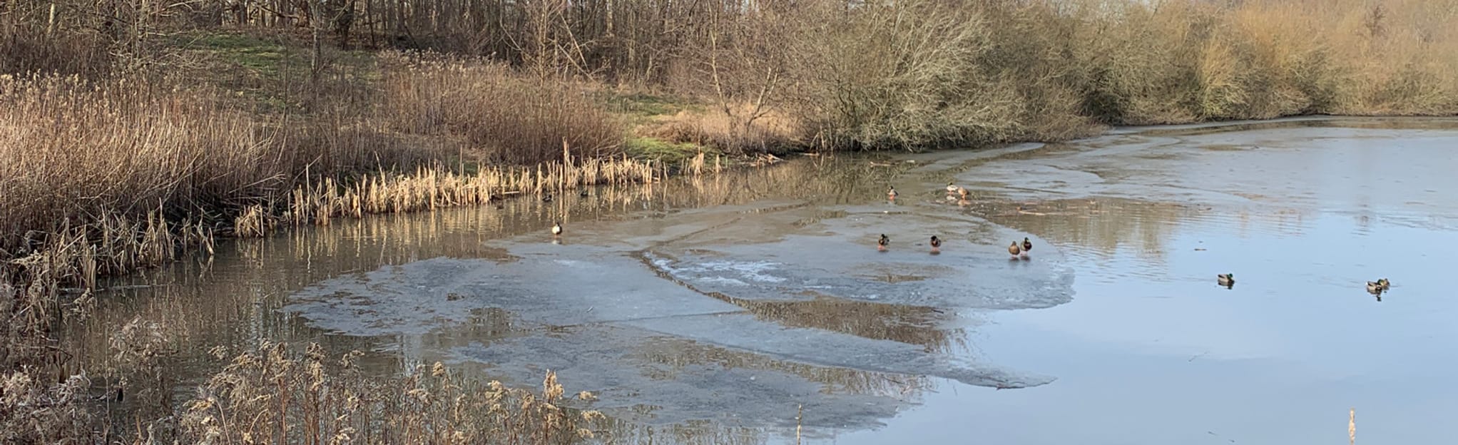 Herstedøster Og Vestskoven Rundt, Capital Region of Denmark, Denmark ...